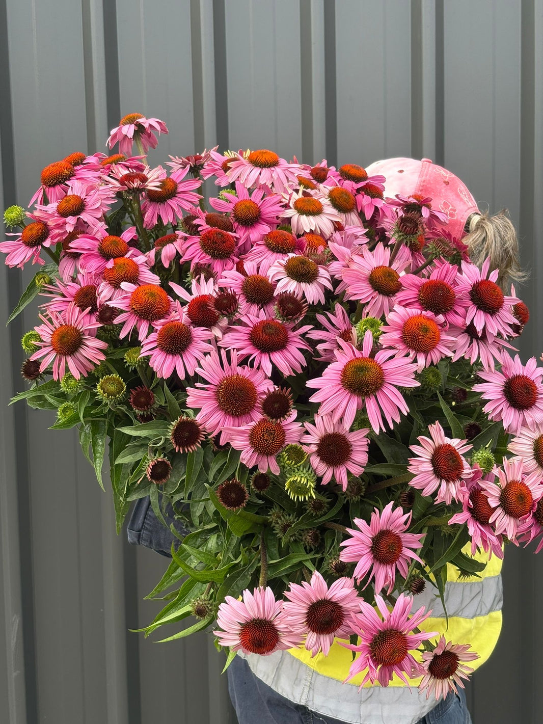 Oxley Hill Farm Flowers - Boutique Flower Farm located in Bowral