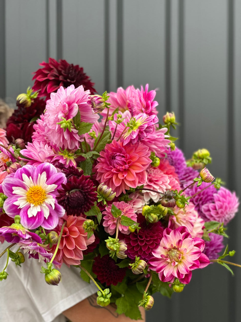 Oxley Hill Farm Flowers - Boutique Flower Farm located in Bowral