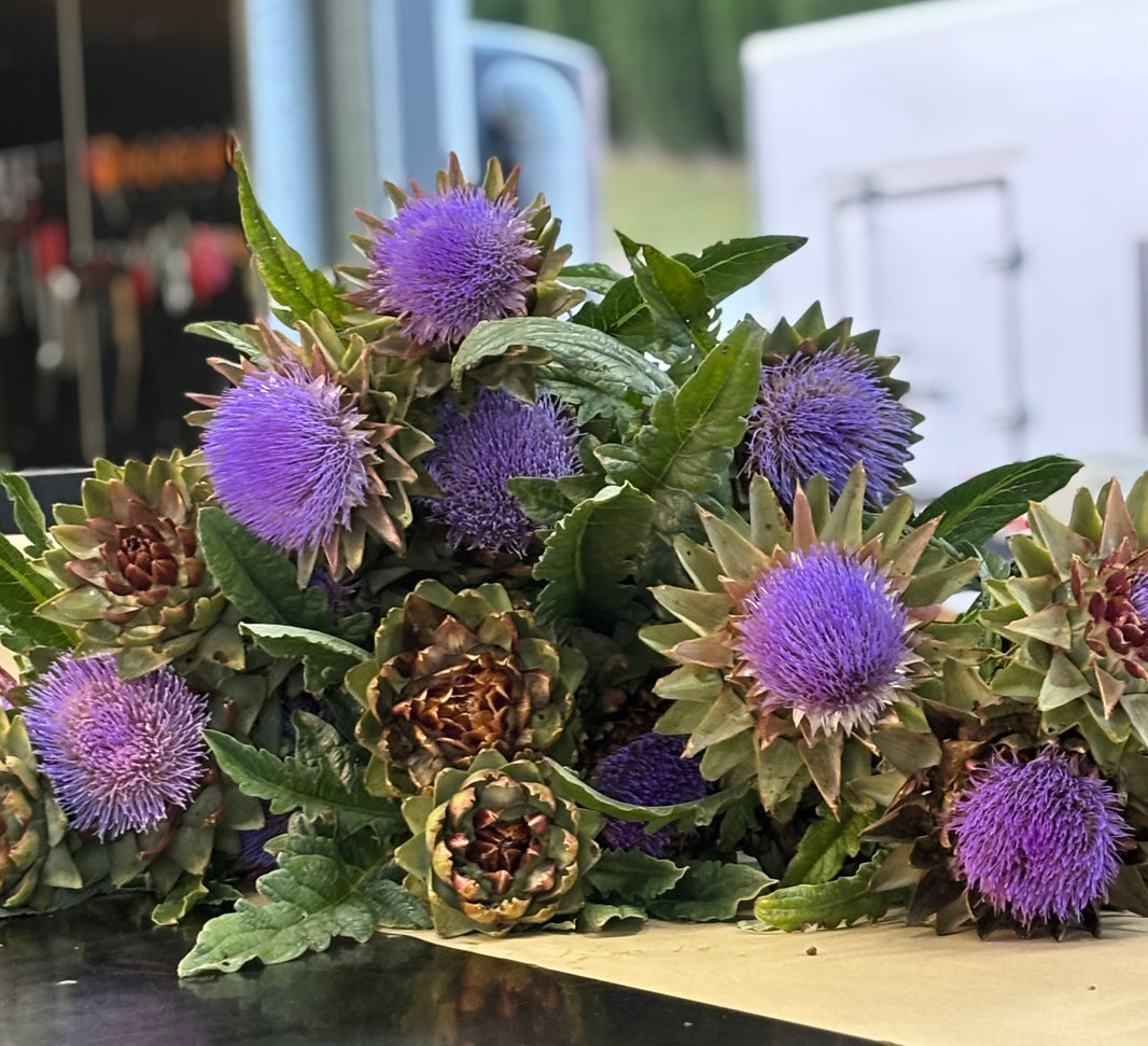 Oxley Hill Farm Flowers - Boutique Flower Farm located in Bowral